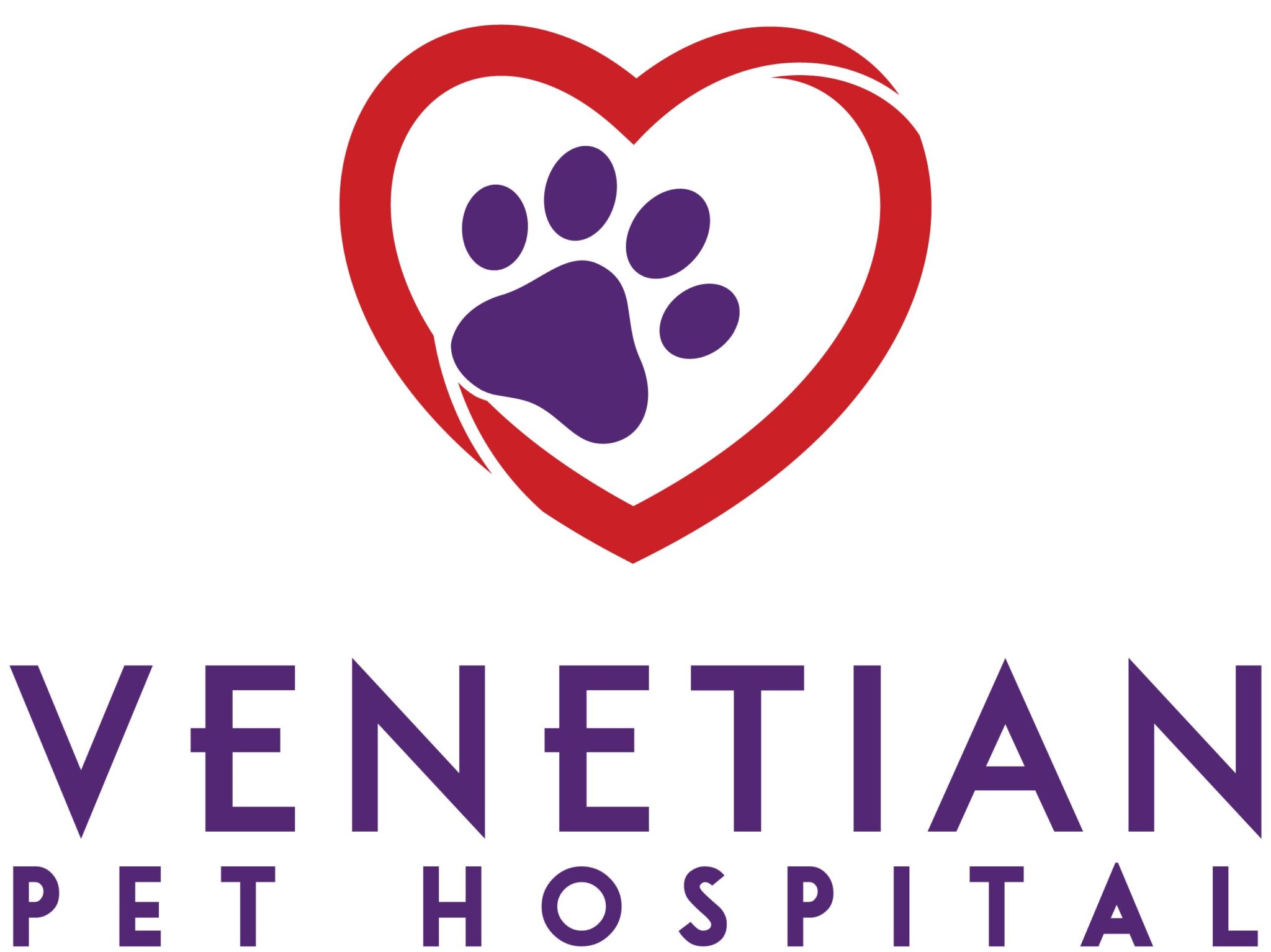 Early Detection of Hip Dysplasia: Warning Signs Every Dog Owner Should ...